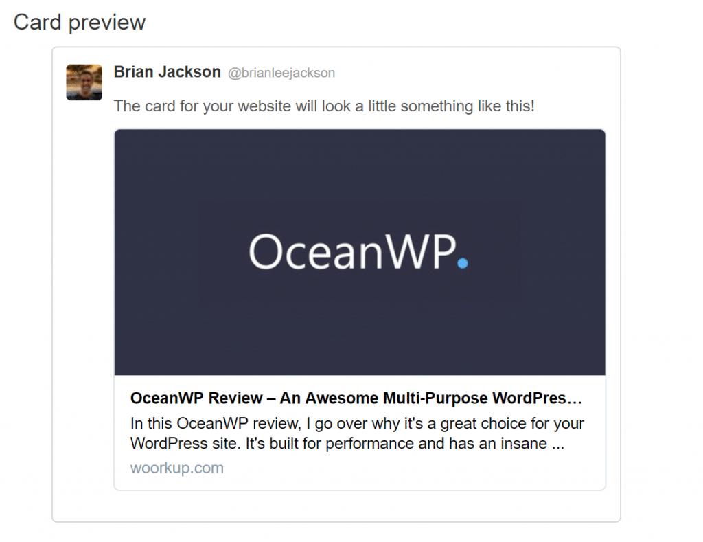 How to Set up a Twitter Card in WordPress (2 Simple Steps)