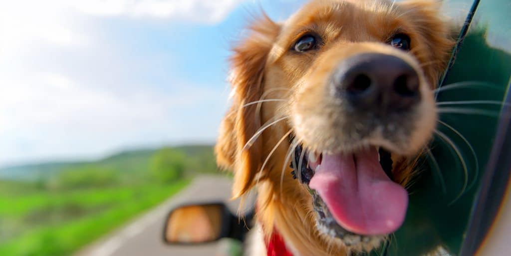 The websites I use to find cheap stock photos (high-quality)