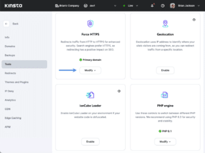Kinsta review: High-performance managed WordPress hosting (2025)